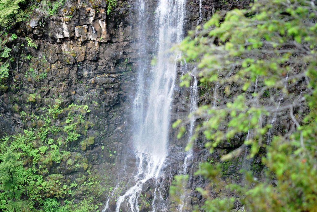 Resources - Shuswap Nation Tribal Council (SNTC)