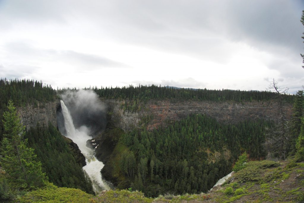 Tribal Chief - Shuswap Nation Tribal Council (SNTC)