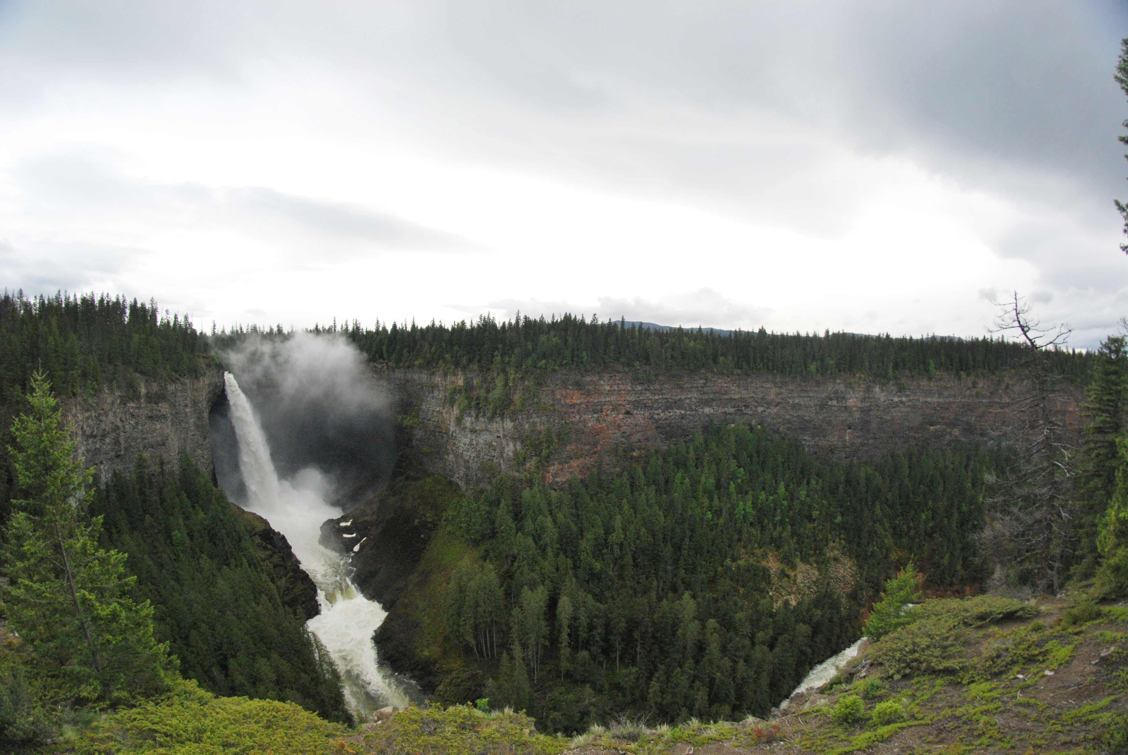 Tribal Chief - Shuswap Nation Tribal Council (SNTC)